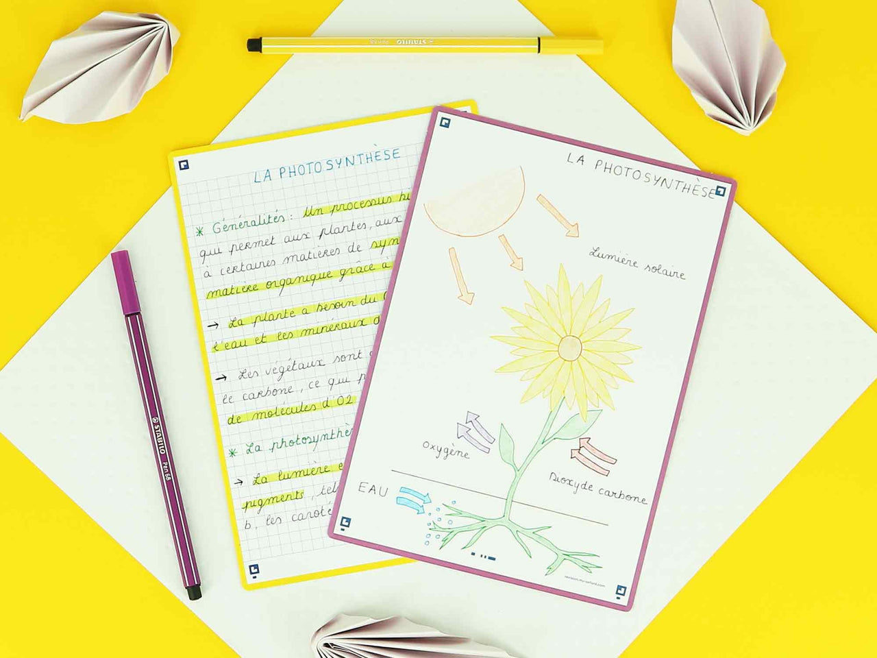 Comment utiliser les couleurs pour mieux réviser ? - MyOxford